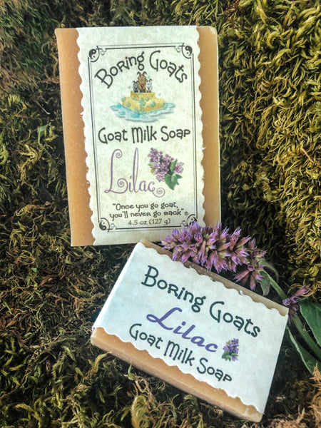Lilac Soap – Boring Goats