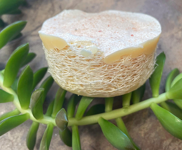 Salt & Spa Loofah Soap – Boring Goats